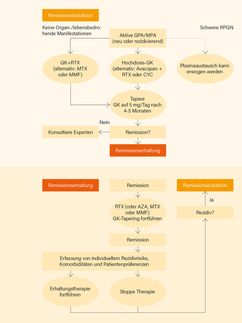 Detailansicht - Rheuma Management Magazin – Offizielles ...